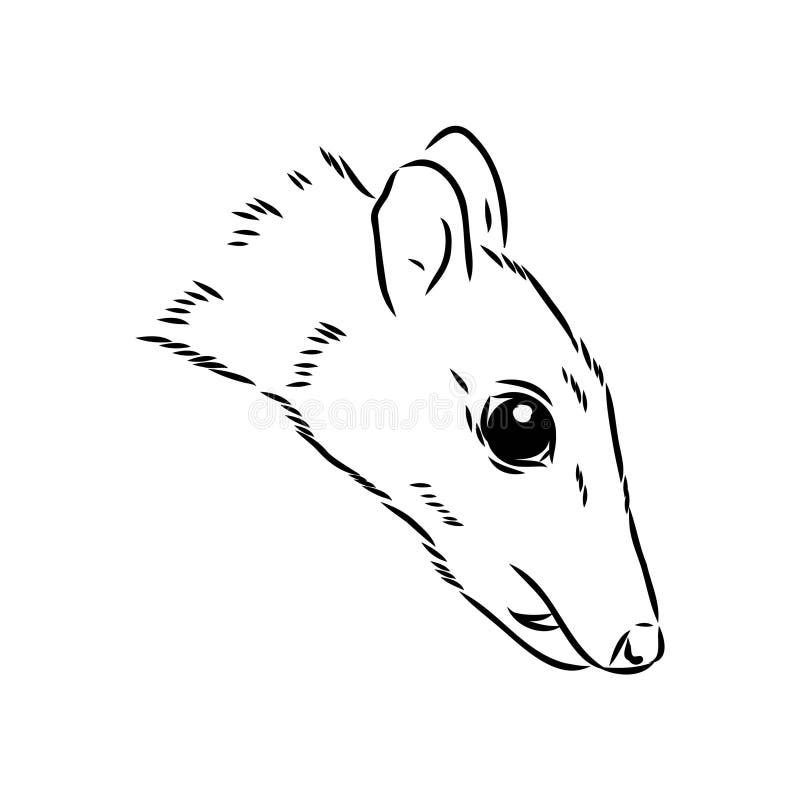 Continuous Lines Mouse Deer Logo Symbol Vector Icon Illustration ...