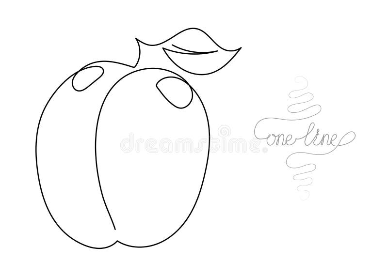 Peach Continuous Line Drawing, Minimalistic Linear Illustration. Vector ...