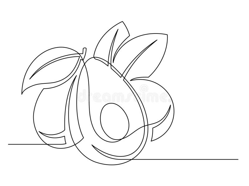 Continuous One Line Avocado with Leaf Stock Vector - Illustration of ...