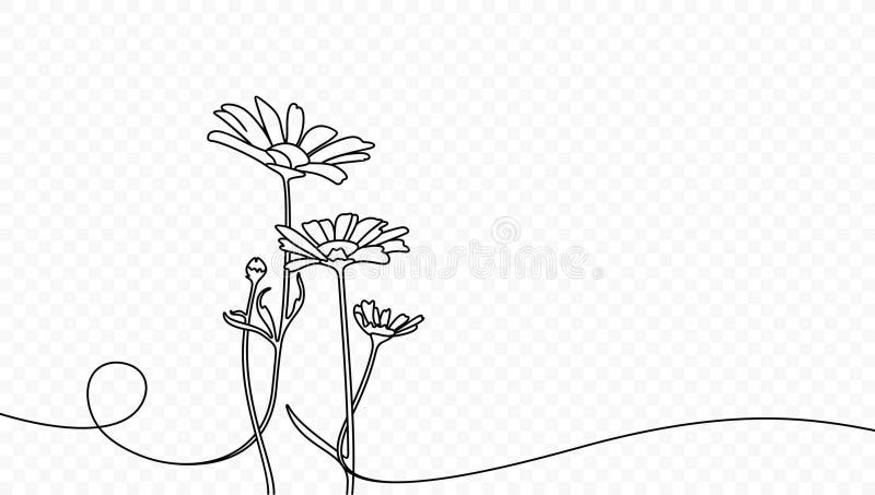 One Line Drawing Daisy Stock Illustrations – 408 One Line Drawing Daisy ...