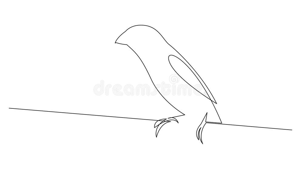 Sparrow Drawing Single Line Stock Illustrations – 152 Sparrow Drawing ...
