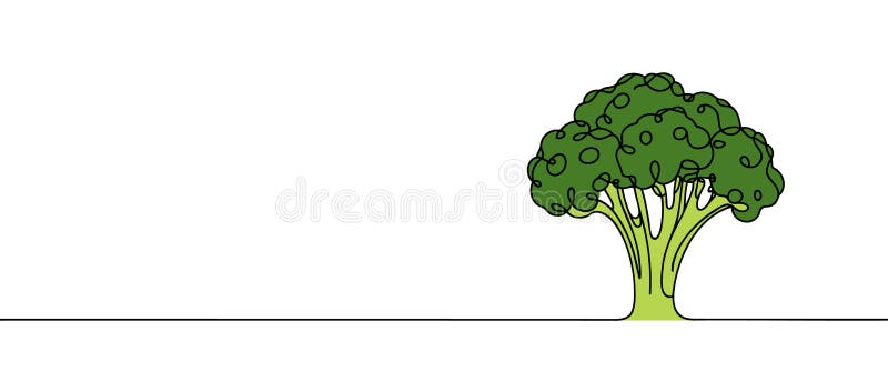 Continuous One Line Drawing Broccoli. Vector Illustration Stock Vector ...
