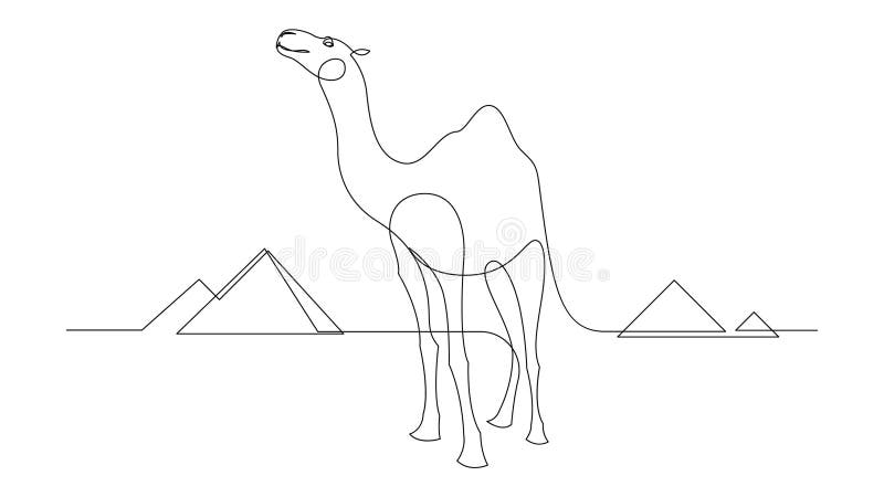 Continuous One Line Drawing Camel Walking in the Desert with Pyramids ...