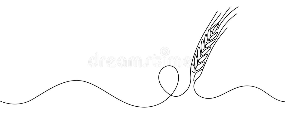 Wheat Ear Line Drawing Stock Illustrations – 1,111 Wheat Ear Line ...