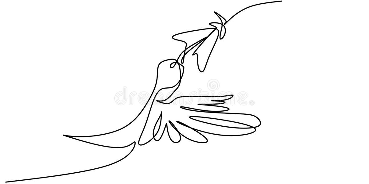 Continuous Line Drawing Hummingbird Stock Illustrations 269