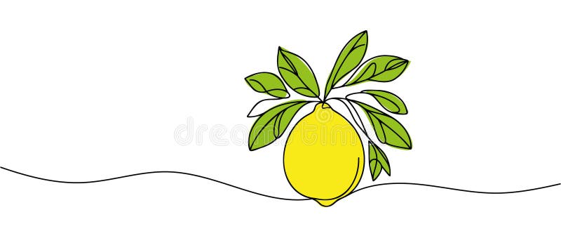 Continuous One Line Drawing. Lemon Lime Fruits. Stock Vector ... Continuous One Line Drawing. Lemon Lime Fruits. Stock Vector ...