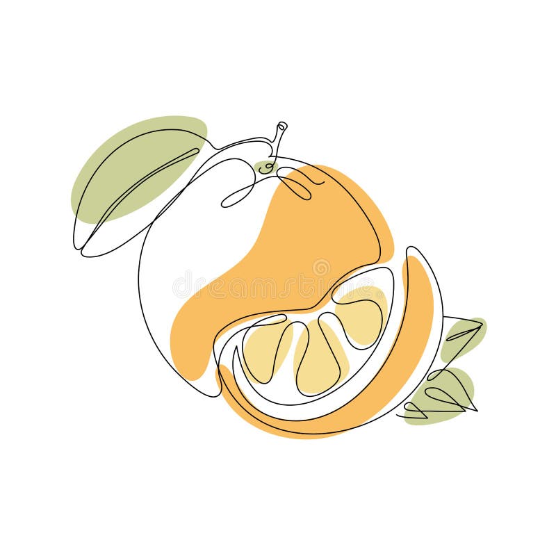 Continuous One Line Drawing. Orange or Citrus Fruit. Vector ...
