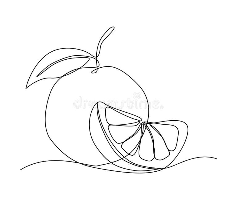 Continuous One Line Drawing of Orange Fruit with Leaf. Slice of Orange ...