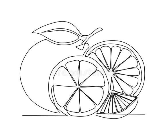 Continuous One Line Drawing of Orange Fruit. Slice of Orange Fruit Hand ...