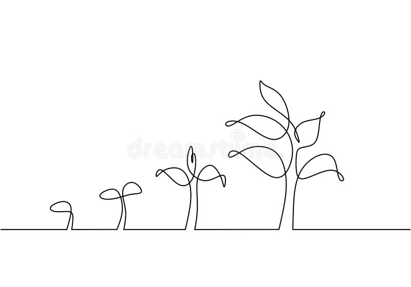 Line Drawing Seed Germination Stock Illustrations – 60 Line Drawing ...