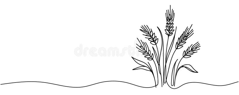 Continuous One Line Drawing of Wheat. Barley or Rye Outline Vector ...