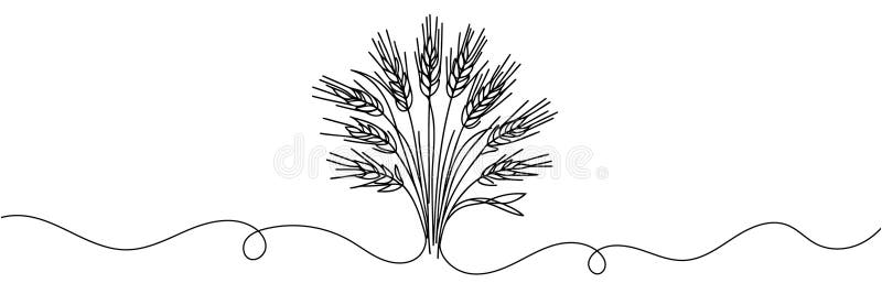 Continuous One Line Drawing of Wheat. Barley or Rye Outline Vector ...