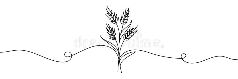 Continuous One Line Drawing of Wheat. Barley or Rye Outline Vector ...