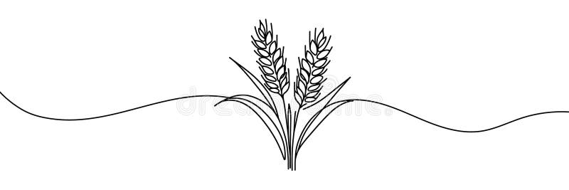 Continuous One Line Drawing of Wheat. Barley or Rye Outline Vector ...