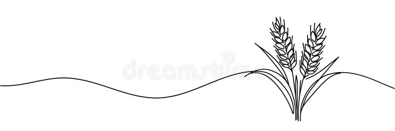 Continuous One Line Drawing of Wheat. Barley or Rye Outline Vector ...