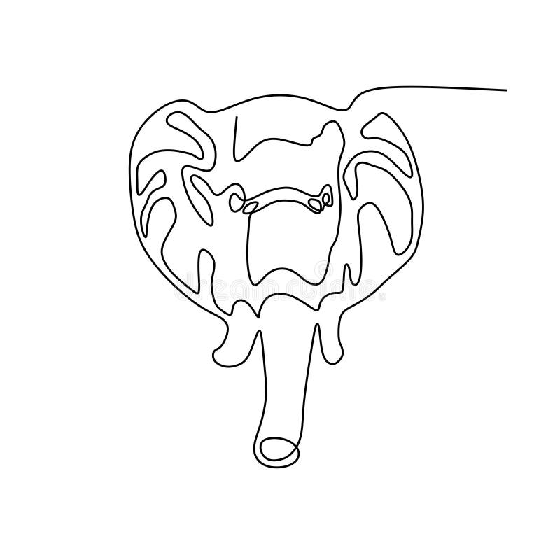 Elephant Front View Outline Stock Illustrations – 112 Elephant Front ...