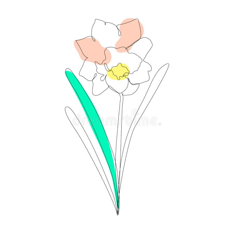 Continuous One Simple Single Abstract Line Drawing of Daffodil Flower ...
