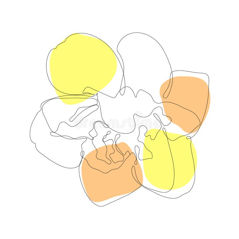 One Line Narcissus Drawing Stock Illustrations – 79 One Line Narcissus ...