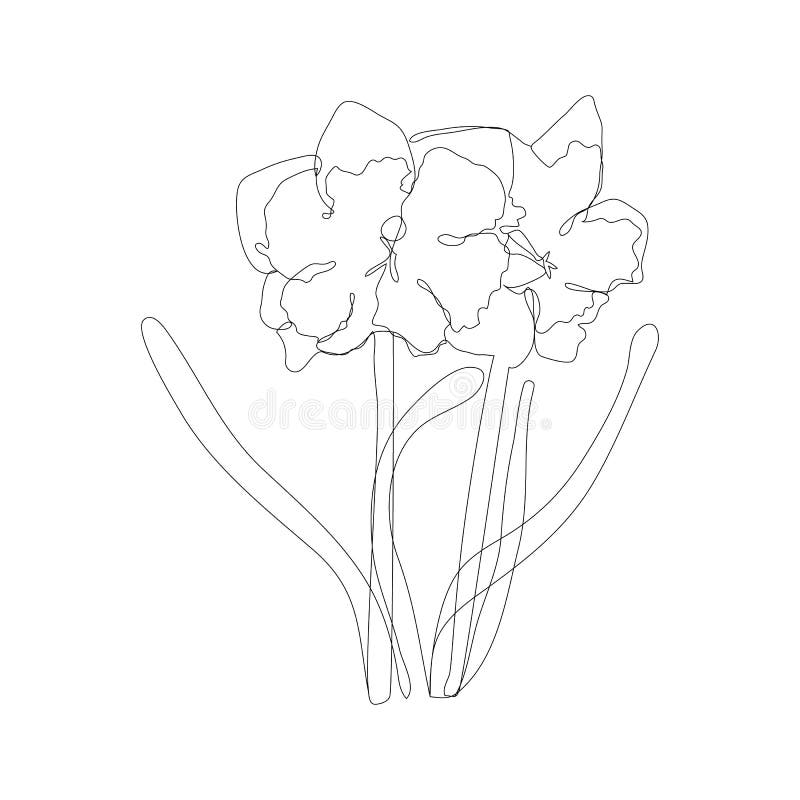 Continuous One Simple Single Abstract Line Drawing of Daffodil Flower ...