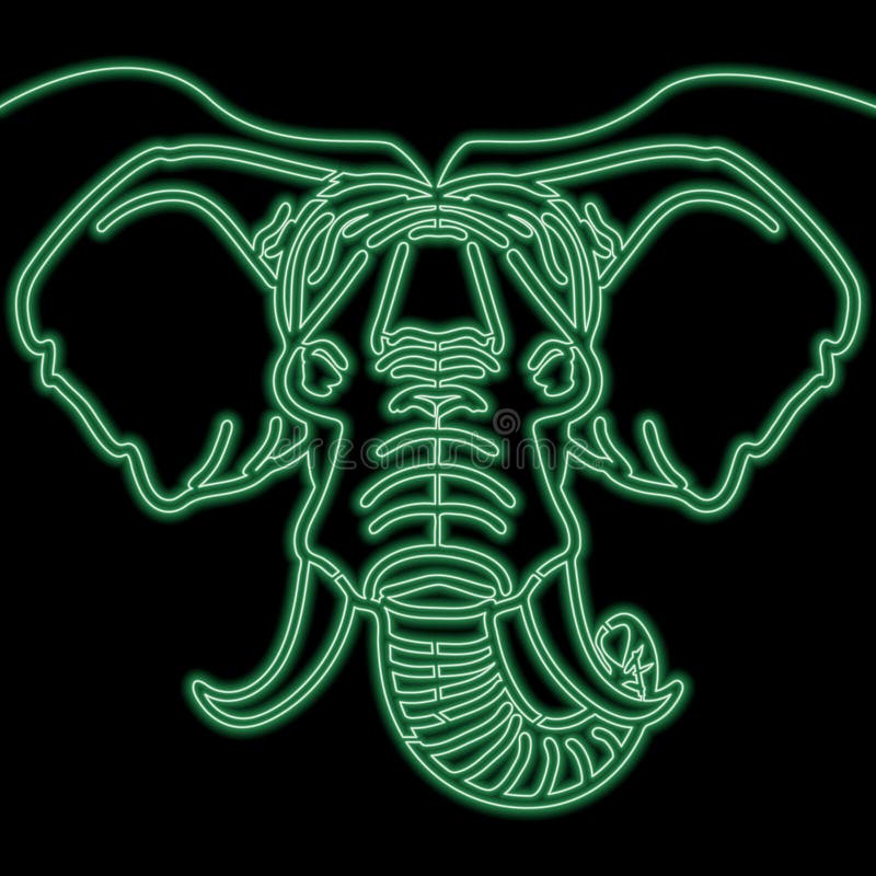 Continuous Line Drawing Elegant Head Neon Concept Stock Vector ...