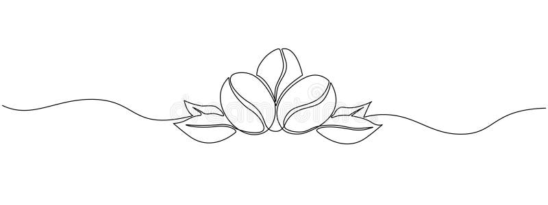 Continuous Single Line Coffee Bean Pattern. Whole Healthy Organic ...