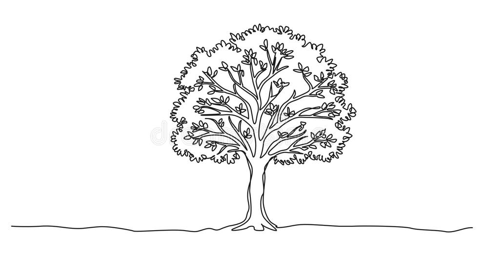 Single Line Drawing of a Broadleaf Tree Stock Illustration ...