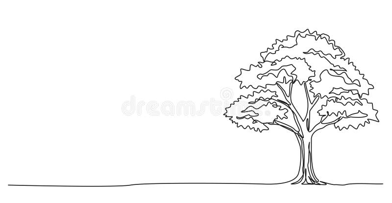 Single Line Drawing of a Deciduous Tree Stock Illustration ...