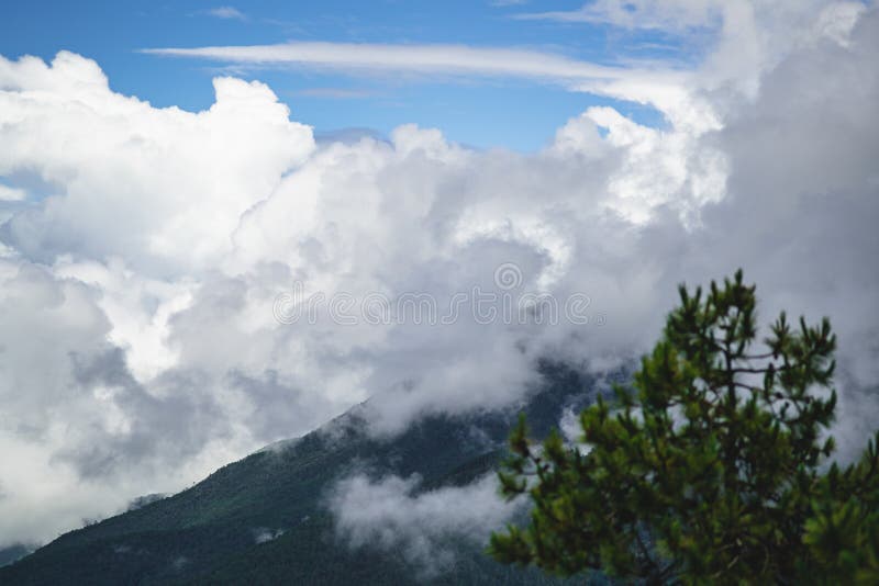 The Continuous White Cloud Peaks in the Blue Sky and the Trees in the ...