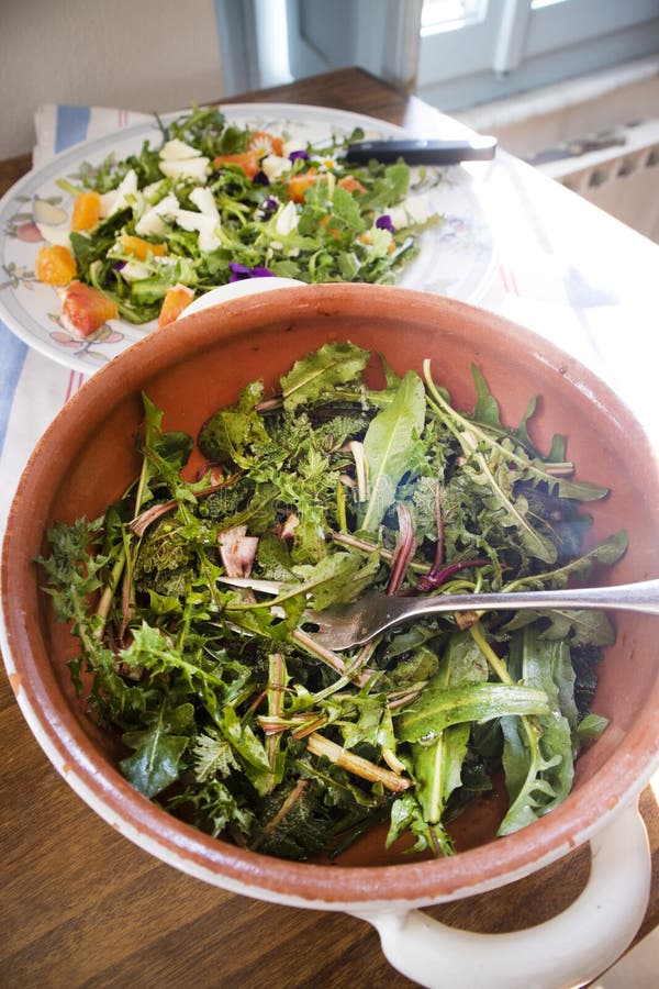 Wild grass salad stock image. Image of tradition, salad - 140353119