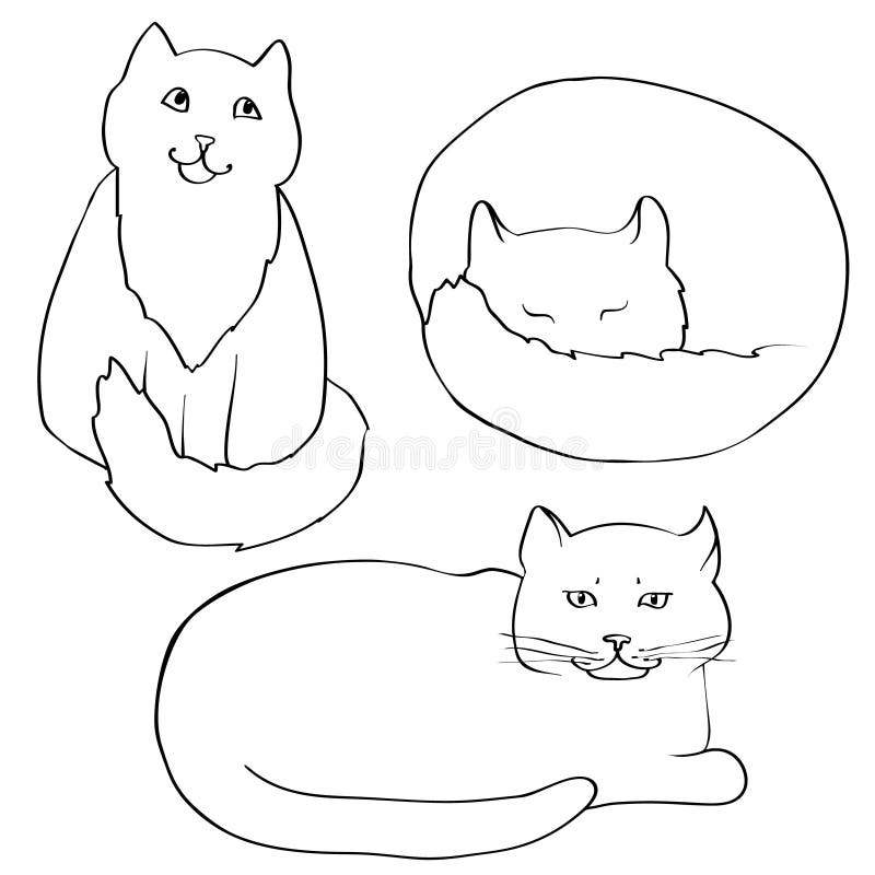 Contour of a cat stock vector. Illustration of style - 59034111