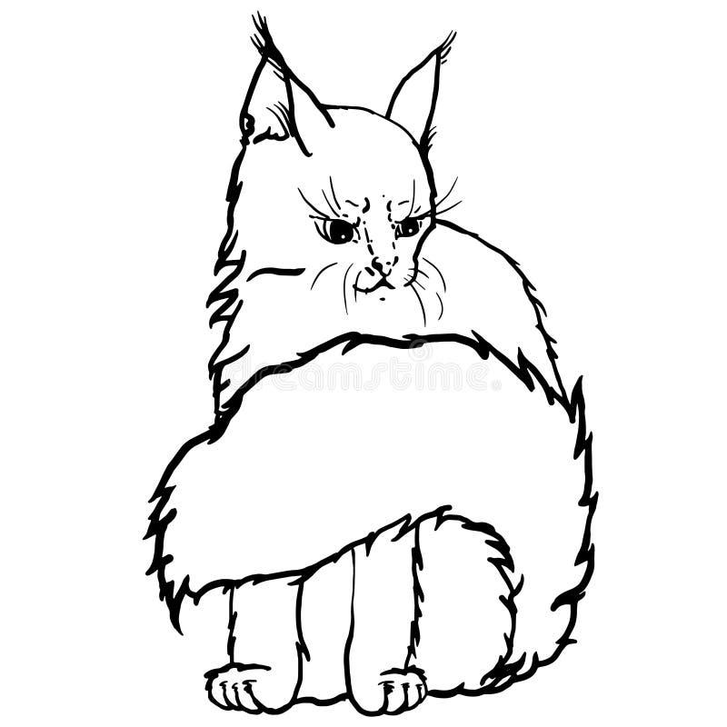 Contour cat portrait stock vector. Illustration of kitten - 73502639