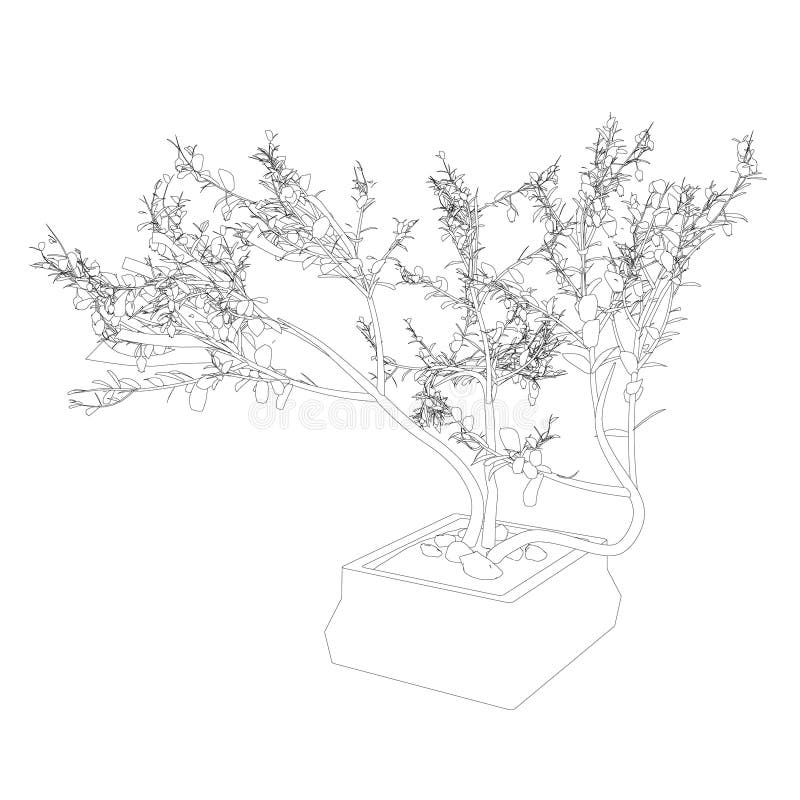 The Contour of a Tree from Black Lines on a White Background. Isolated ...