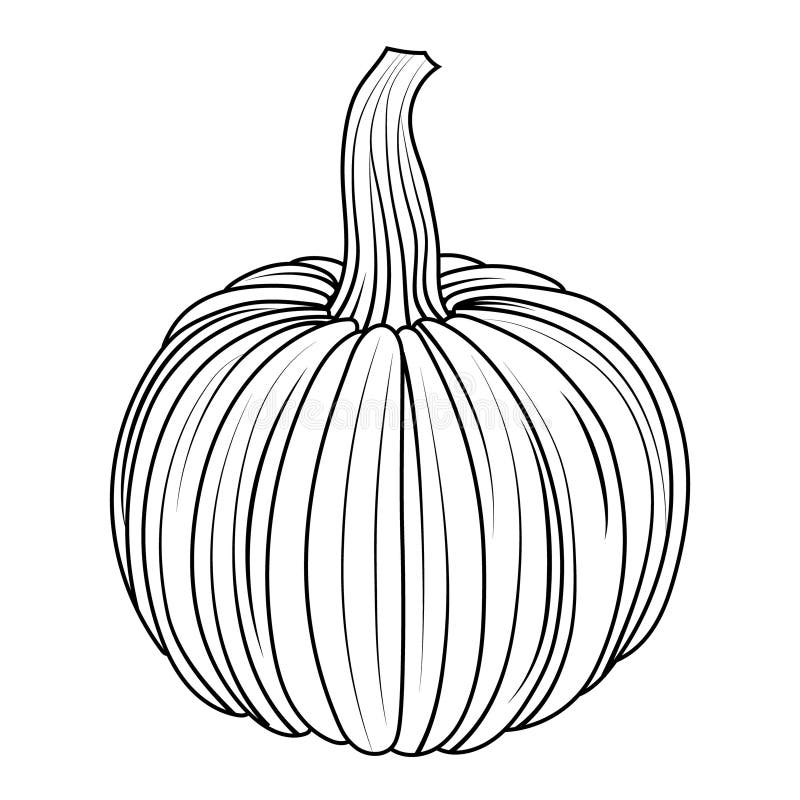 Contour Drawing of a Pumpkin. Coloring Book Stock Vector - Illustration ...