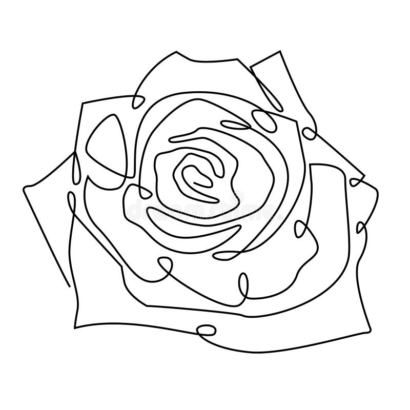 Contour Drawing of a Rose Flower Line Stock Vector - Illustration of ...