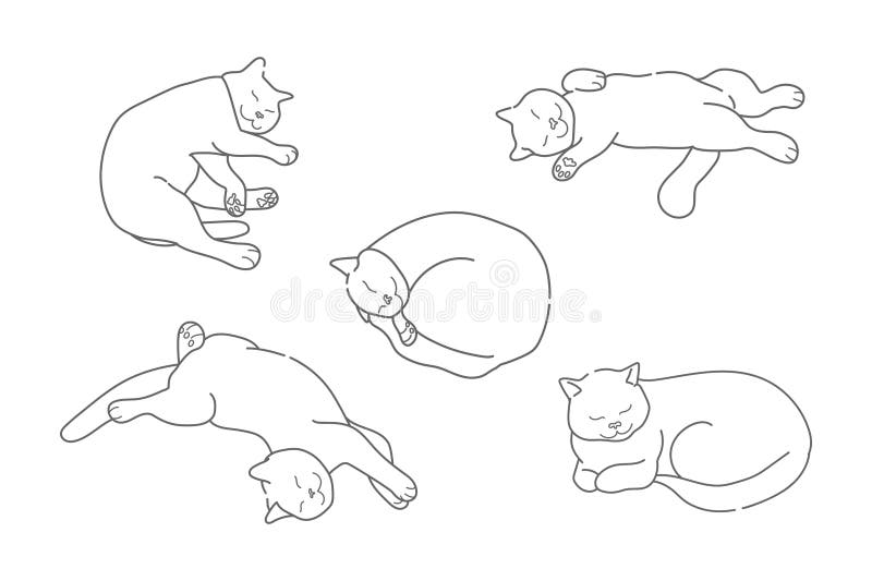 Contour Drawing of a Sleeping Cat in Various Poses. Cat is Sleeping in ...