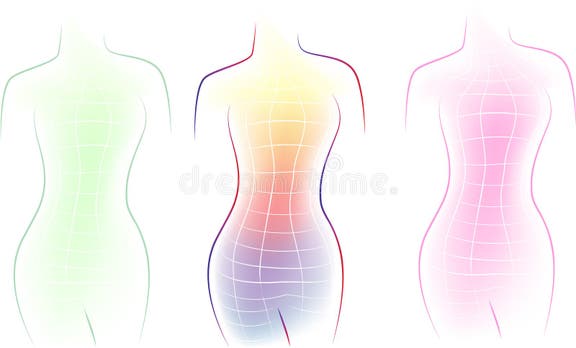 Body Grid Stock Illustrations – 5,457 Body Grid Stock Illustrations ...