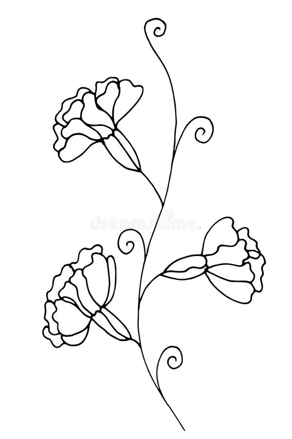 Contour Flower stock vector. Illustration of feminine - 59229792