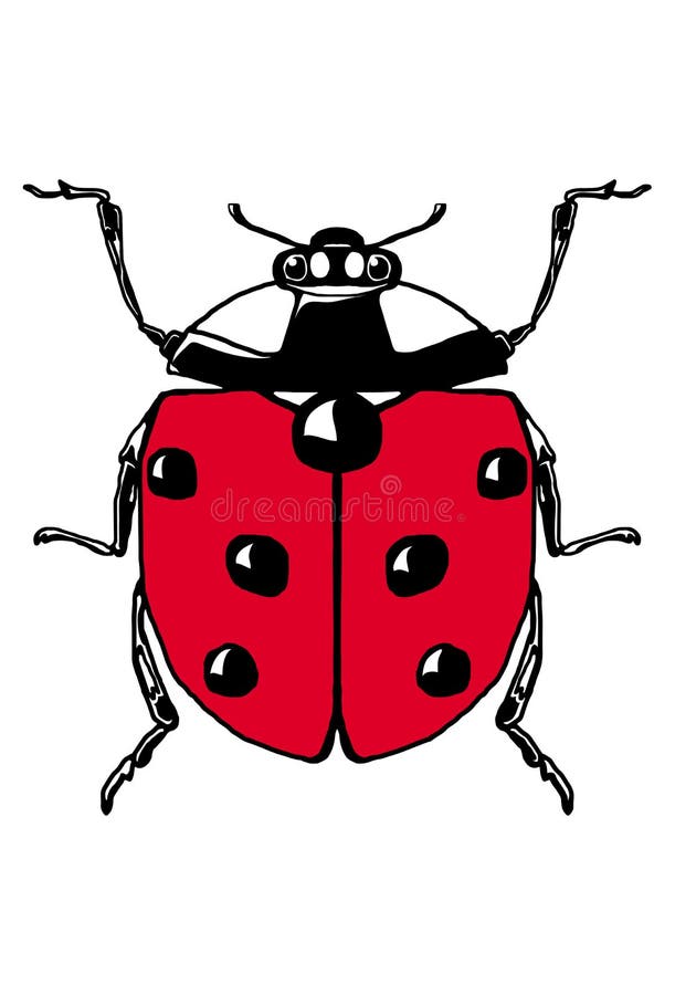 Red Ladybug Top View Stock Illustrations – 160 Red Ladybug Top View ...