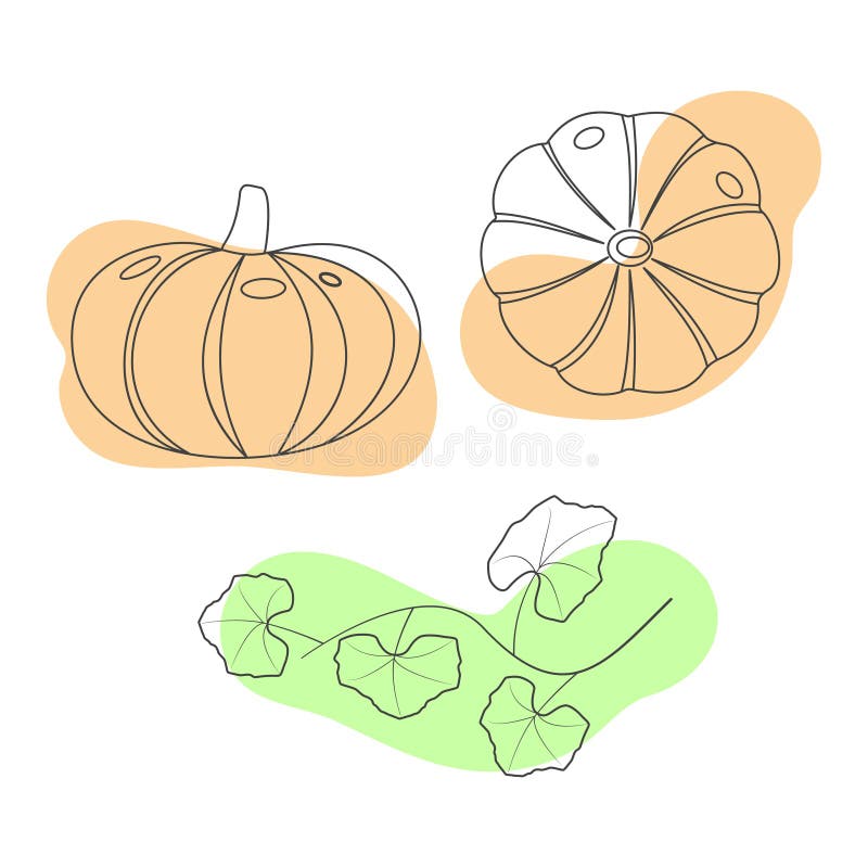 Contour Pumpkin. Vector Linear Image on a White Background Stock Vector ...
