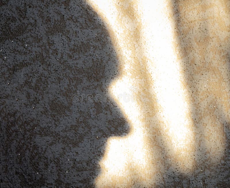 Shadow from the face stock photo. Image of intelligence - 146162208