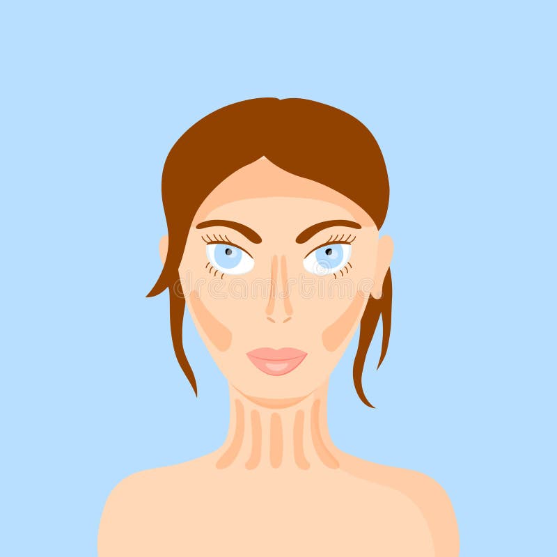 Contouring stock vector. Illustration of bronzer, facial - 69556787