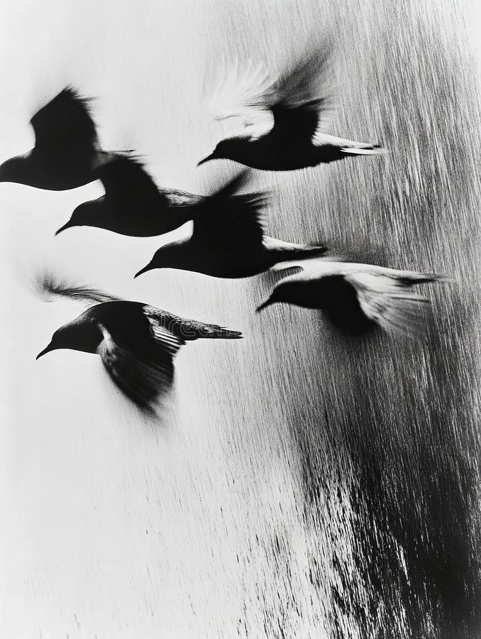Contours of Birds Fluttering Against a Delicate Backdrop Stock Image ...