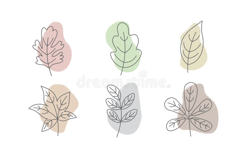 Contours of Leaves on the Background of an Abstract Figure Vector Stock ...
