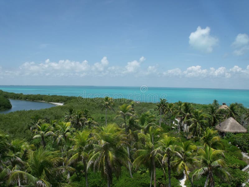 Contoy Island - View from the Tower. Stock Image - Image of carribean ...