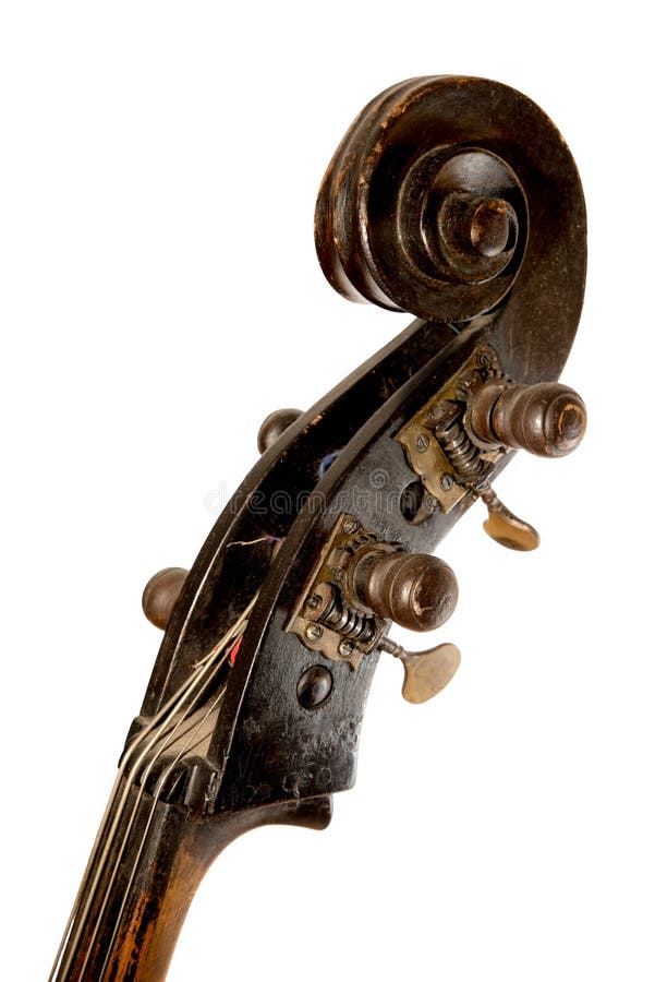 Contra bass head stock photo. Image of vertical, white - 79145058