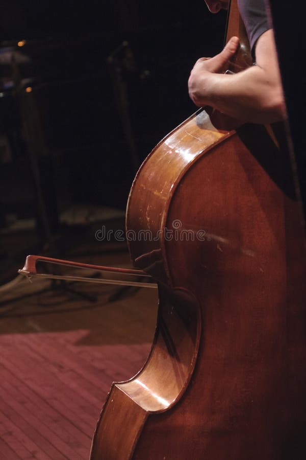Contra-bass Player Performing Onstage Stock Image - Image of black ...