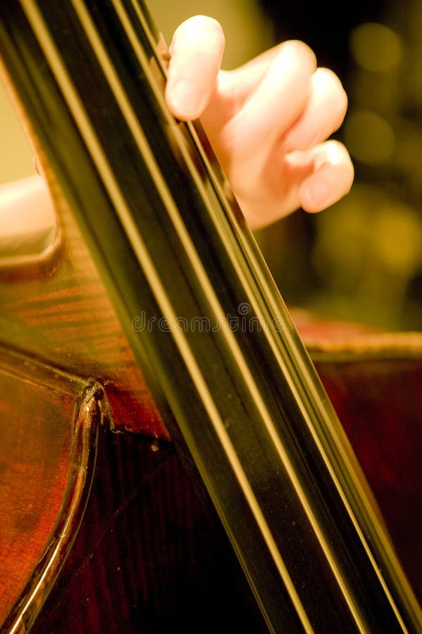 Piano stock image. Image of piece, composition, note, musician - 299729