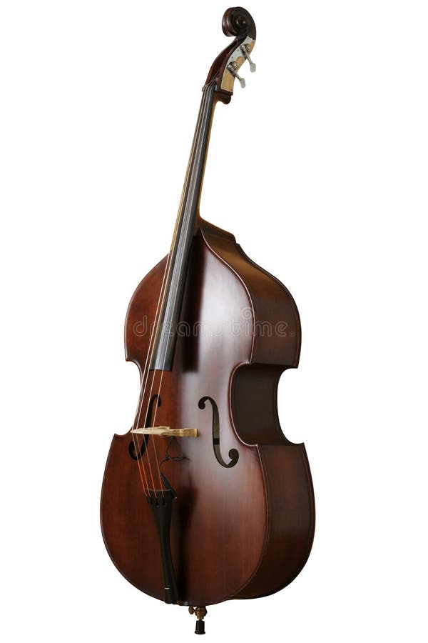 Contrabass stock photo. Image of chamber, finger, perform - 1534906