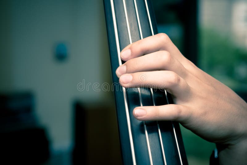 Contrabass stock image. Image of strings, music, classical - 22258527