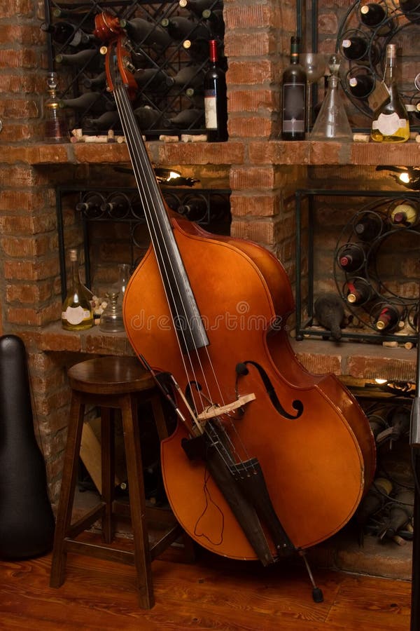 Contrabass photo stock. Image du pièce, musique, concert - 5089822